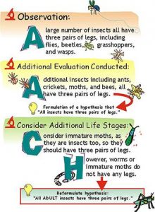 The Scientific Method